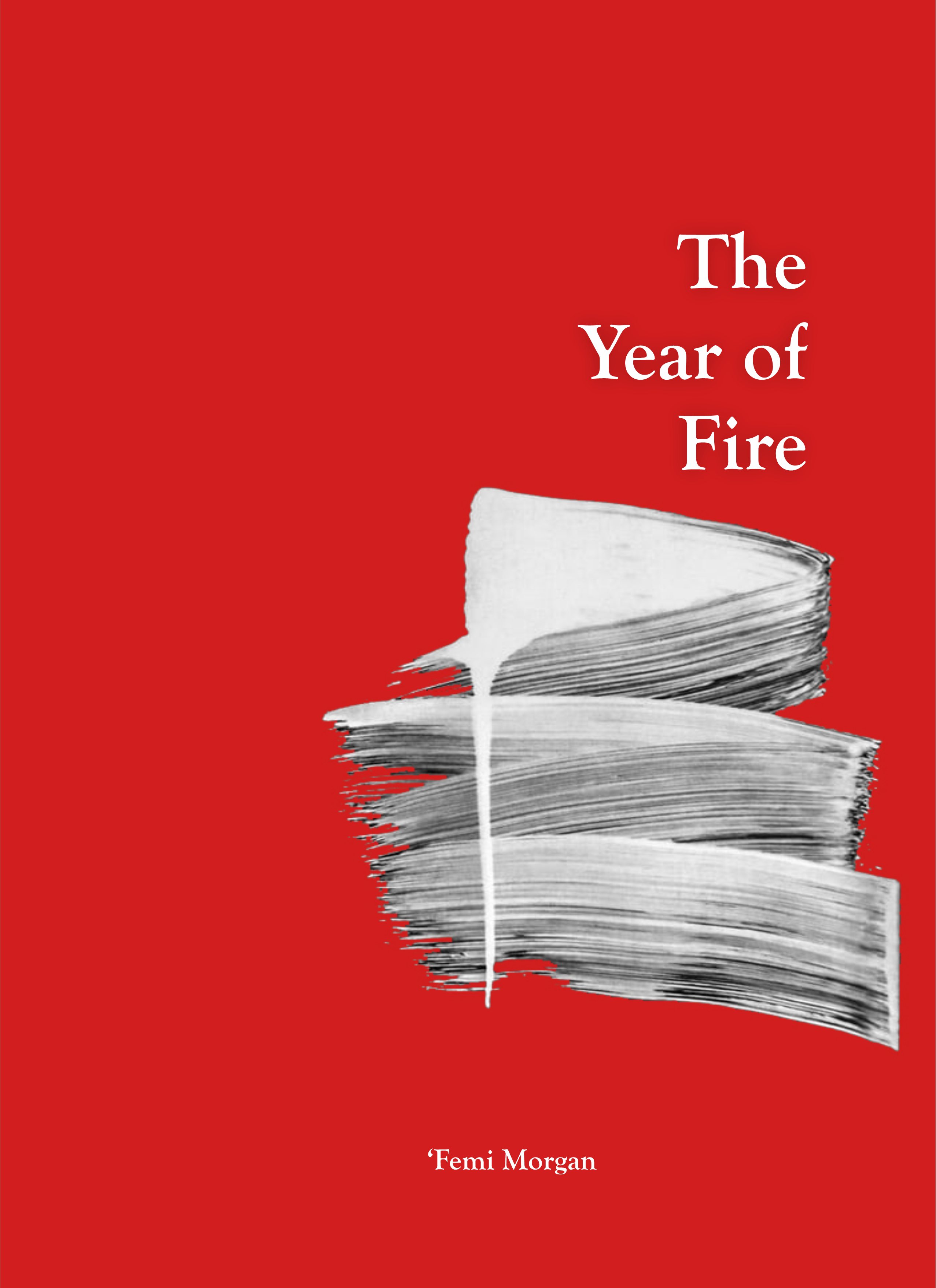The-Year-of-Fire-New-Cover